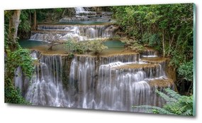 Wallmuralia Foto obraz fotografie na skle Vodopád v lese 100x50