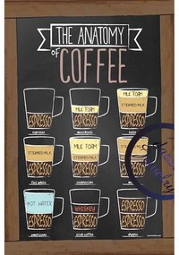 Cedule  The Anatomy Caffee