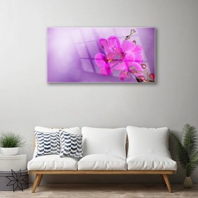 Plexisklo-obraz Květiny Plátky Orchidej 100x50 cm