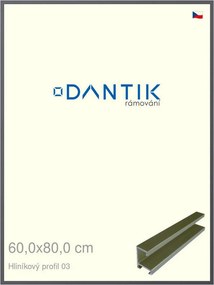 DANTIK rámeček 60x80 | ALU profil 7003 Platina matná (Plexi Čiré)