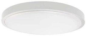 LED Koupelnové stropní svítidlo LED/18W/230V IP44 4000K pr. 25 cm bílá