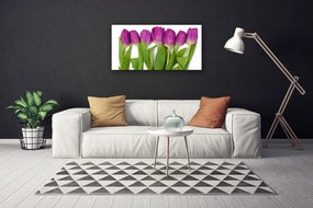 Obraz na plátně Tulipány Květiny Rostlina 125x50 cm