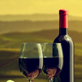 Malvis ® Tapeta milovnící vína Vel. (šířka x výška): 432 x 290 cm