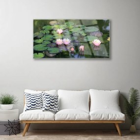 Obraz na skle Vodní Lilie Rybník Příroda 100x50 cm