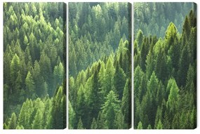 Vícedílný obraz Zelení Lesa Nedostatek Nedostatek Přírodní plátno 60x40