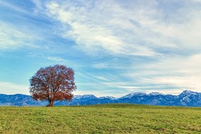 Fototapeta panorama hor