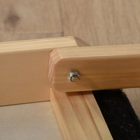 PawHut rampa pro psy nastavitelná rampa pro psy s protiskluzovým kobercem z borovicového dřeva a polyesteru 90x40x61cm pro psy a kočky | Aosom.de