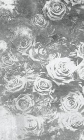 DIMEX | Vliesová fototapeta na zeď Abstrakt růže II. MS-2-0378  | 150 x 250 cm | šedá, bílá