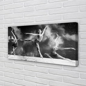Obrazy na plátně Dámská Baleríny kouř 120x60 cm