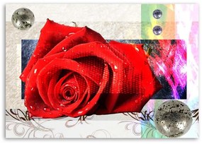 Obraz na plátně Červené květy růží Abstrakt - 90x60 cm