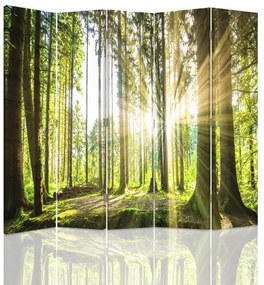 Ozdobný paraván Zelený les - 180x170 cm, pětidílný, klasický paraván