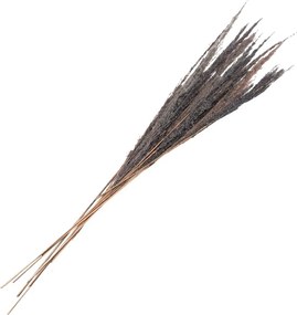 Přírodní šedá kytice sušené květy trávy - 100 cm (10ks)