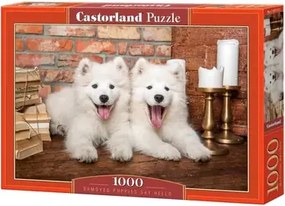 Castorland 105137 Štěňata samojeda / 1000 dílků / od 9 let