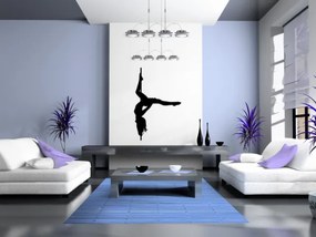 Samolepka Pole dance