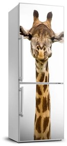Wallmuralia Nálepka fototapeta lednička Žirafa 60x180 cm