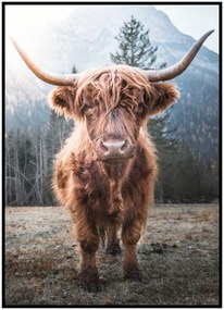 Jen tak z lásky Plakát Highland cattle v lese Rozměr plakátu: A4 (21 x 29,7 cm)