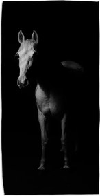 Sablio Ručník Kůň ve stínu - 50x100 cm