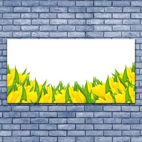 Plexisklo-obraz Květiny Příroda Tulipány 120x60 cm