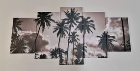 5-dílný obraz kokosové palmy na pláži v černobílém provedení Varianta: 100x50