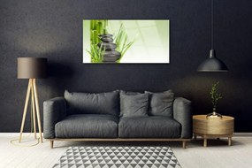 Obraz na skle Bambus Tráva Rostlina Příroda 100x50 cm