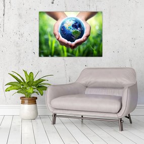 Obraz - Země na dlani (70x50 cm)