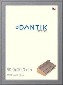 DANTIK rámeček 50x70 | STEP šedá (Plexi Čiré)