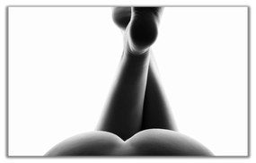 Malvis ® Obraz ženské tvary Velikost (šířka x výška): obdélník - 100x60 cm