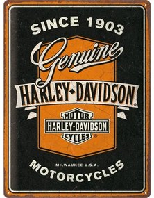 Postershop Plechová cedule: Harley-Davidson - Genuine Motorcycles Ribbon - 40x30 cm