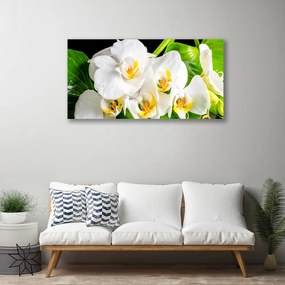 Obraz na plátně Orchidej Květiny Příroda 120x60 cm