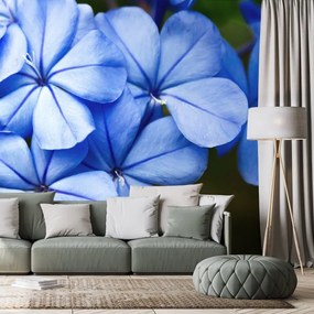 Samolepící fototapeta divoké modré květiny - 225x150 cm
