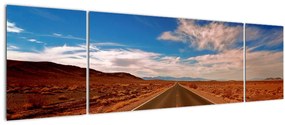 Obraz dlouhé cesty (170x50 cm)
