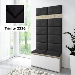 Eka Předsíňová stěna s čalouněnými panely Trinity 1 - Bílá sonoma / Černá 2316