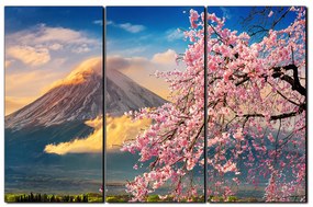 Obraz na plátně - Hora Fuji a třešňové květiny na jaře 1266B (105x70 cm)