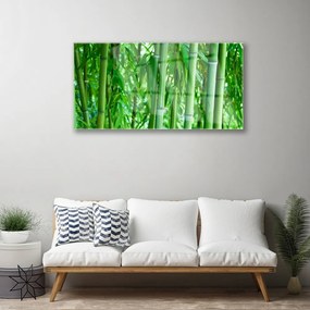 Obraz na skle Bambus Stonek Rostlina 100x50 cm