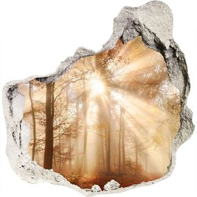 Wallmuralia Díra 3D ve zdi nálepka Mlha v lese podzim 75x75 cm