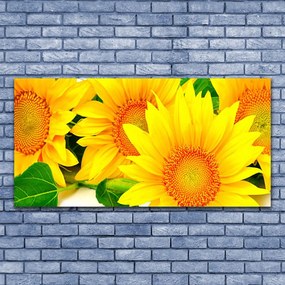 Plexisklo-obraz Slunečnice Květ Příroda 120x60 cm
