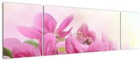 Obraz - Růžové květy (170x50 cm)