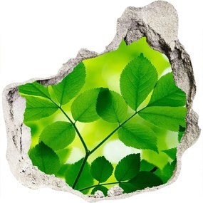 Wallmuralia Samolepící díra nálepka Zelené listí 75x75 cm