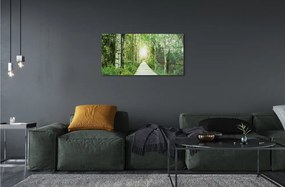 Obraz na skle Bříza lesní cesta 120x60 cm
