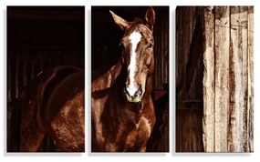 Sablio Obraz - 3-dílný Kůň ve stáji - 120x80 cm