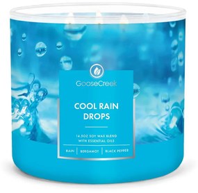 Goose Creek Candle svíčka Cool Rain Drops, 411 g