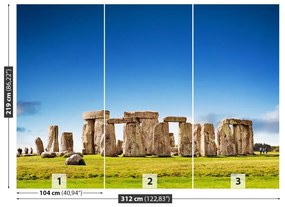 Fototapeta Stonehenge, Anglie 104x70