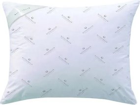 XXXLutz POLŠTÁŘ POD HLAVU, 40/60 cm Billerbeck - Polštáře pod hlavu - 0032790059