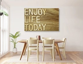 Obraz s citací - Enjoy life today