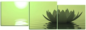 Obraz na plátně - Zen lotus - panoráma 5167ZD (90x30 cm)