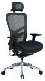 Dalenor Ergonomická kancelářská židle Tech Pro, síťovina, černá