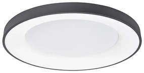 Stropní svítidlo LED se stmíváním Rando Smart 60 černé