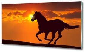 Wallmuralia Foto obraz sklo tvrzené Kůň západ slunce 100x50