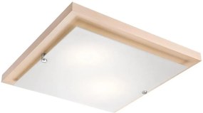 Stropní světlo led stropní svítidlo 1xled/24w/230v
