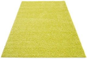Exkluzivní kusový koberec SHAGGY PORTE-T TK0010 - 80x200 cm